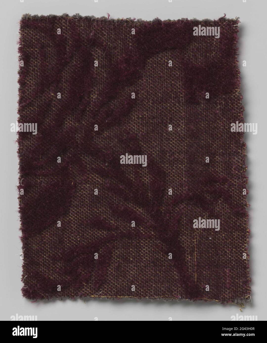 Fragment shaved velvet with design "Zee symphen", purple on gold ...