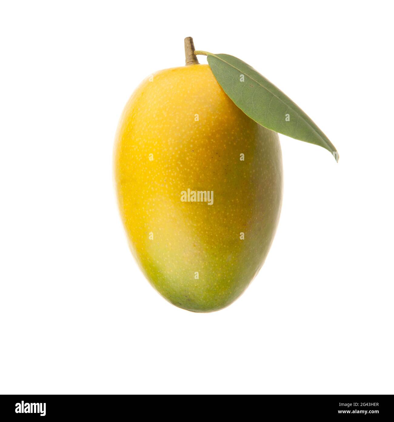 Mango with leaf hi-res stock photography and images - Alamy