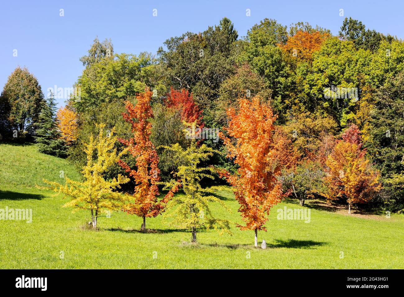 The colors of bavaria hi-res stock photography and images - Alamy