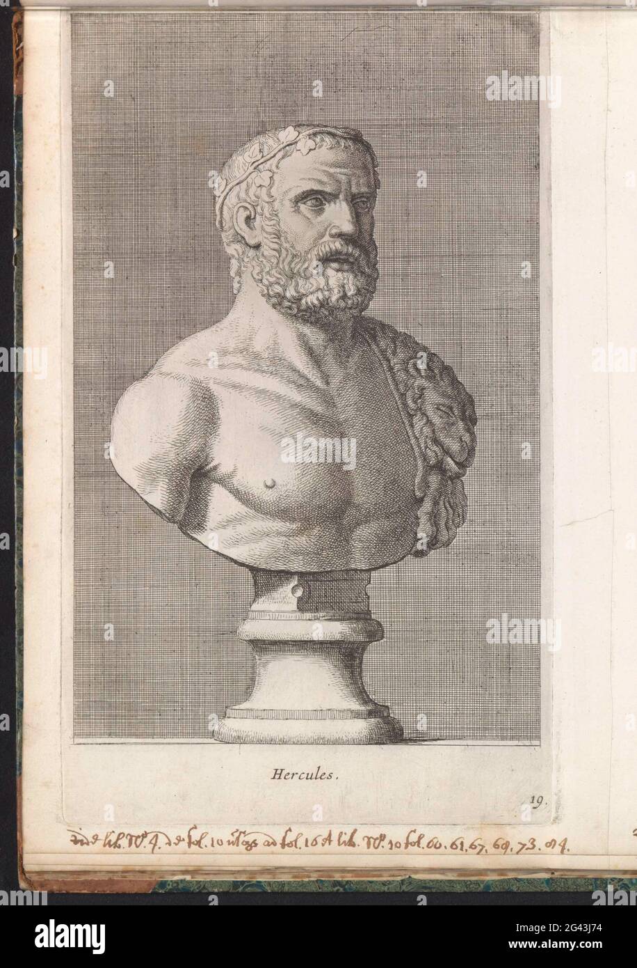 Bust of Hercules; Hercules. Classic bust of Hercules. The skin of a ...