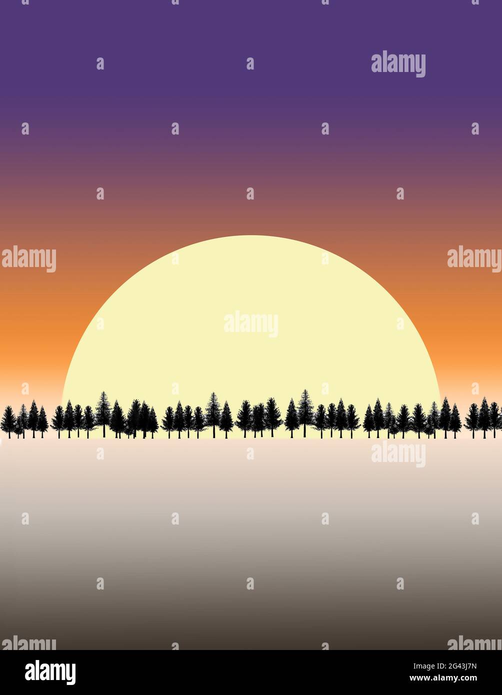 A huge sun is seen at sunset with a line of pine trees in this ...