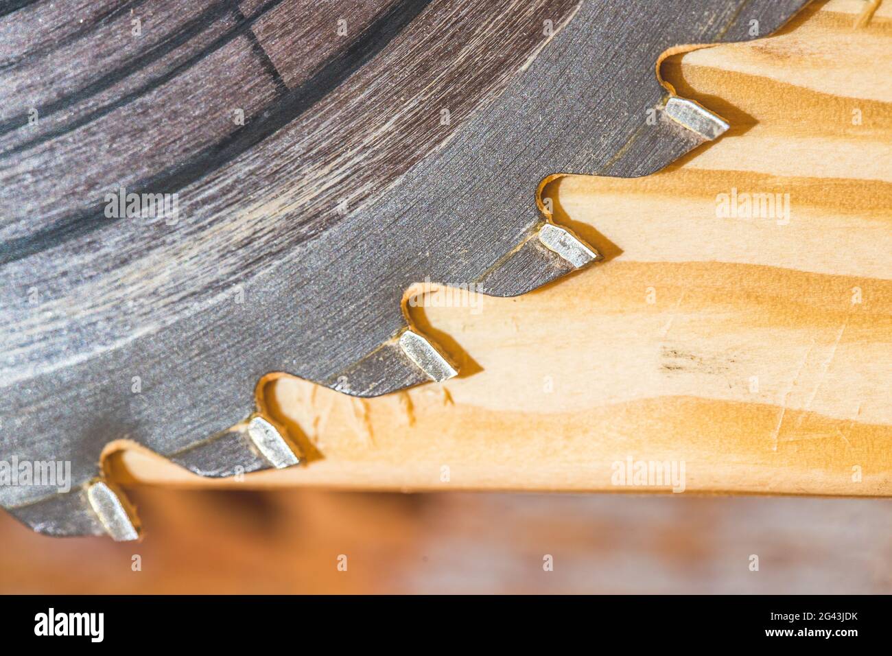 Woodwork at a carpenter: Close up of circular saw blade Stock Photo - Alamy