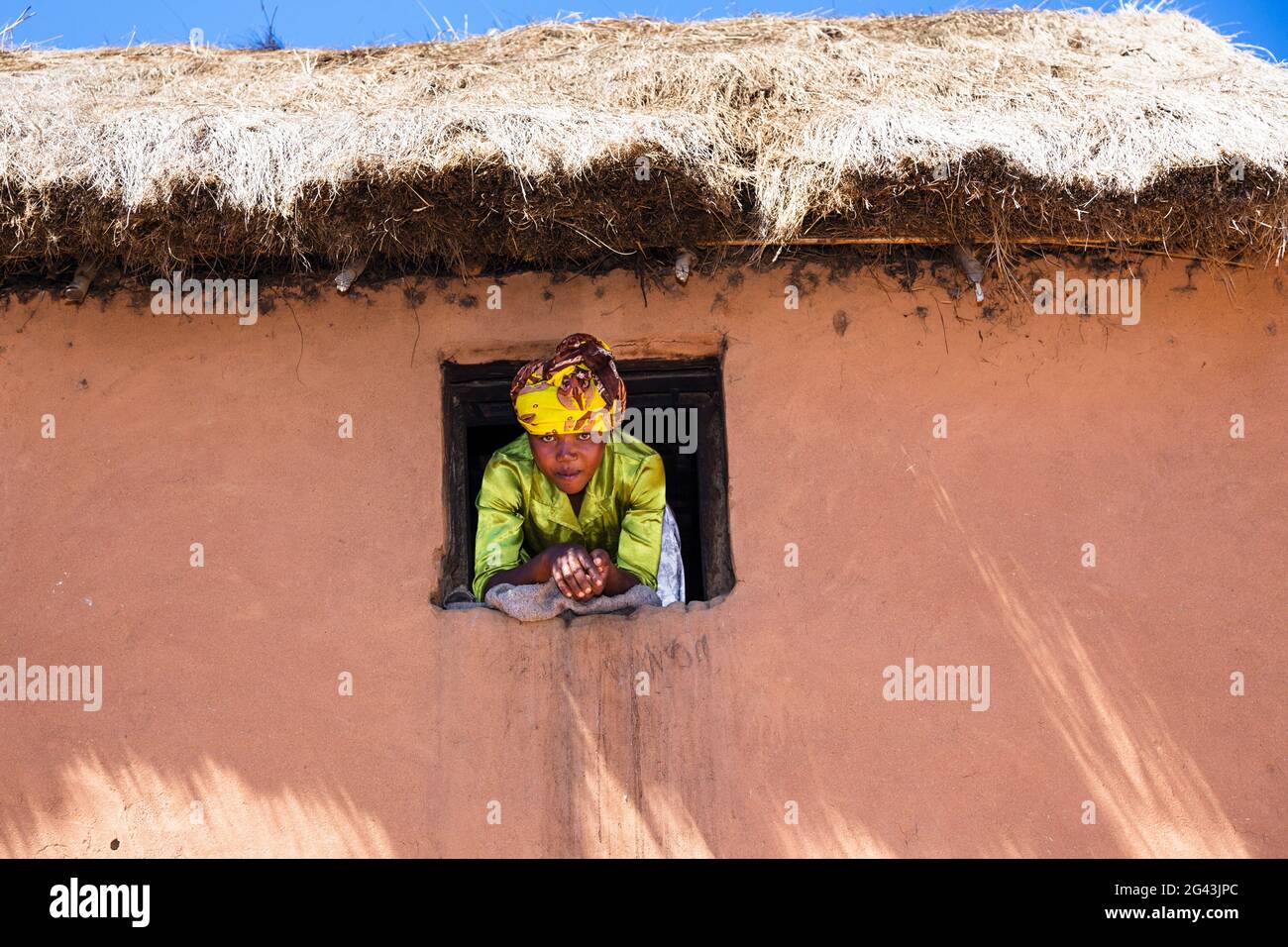 Madagascar origins hi-res stock photography and images - Alamy