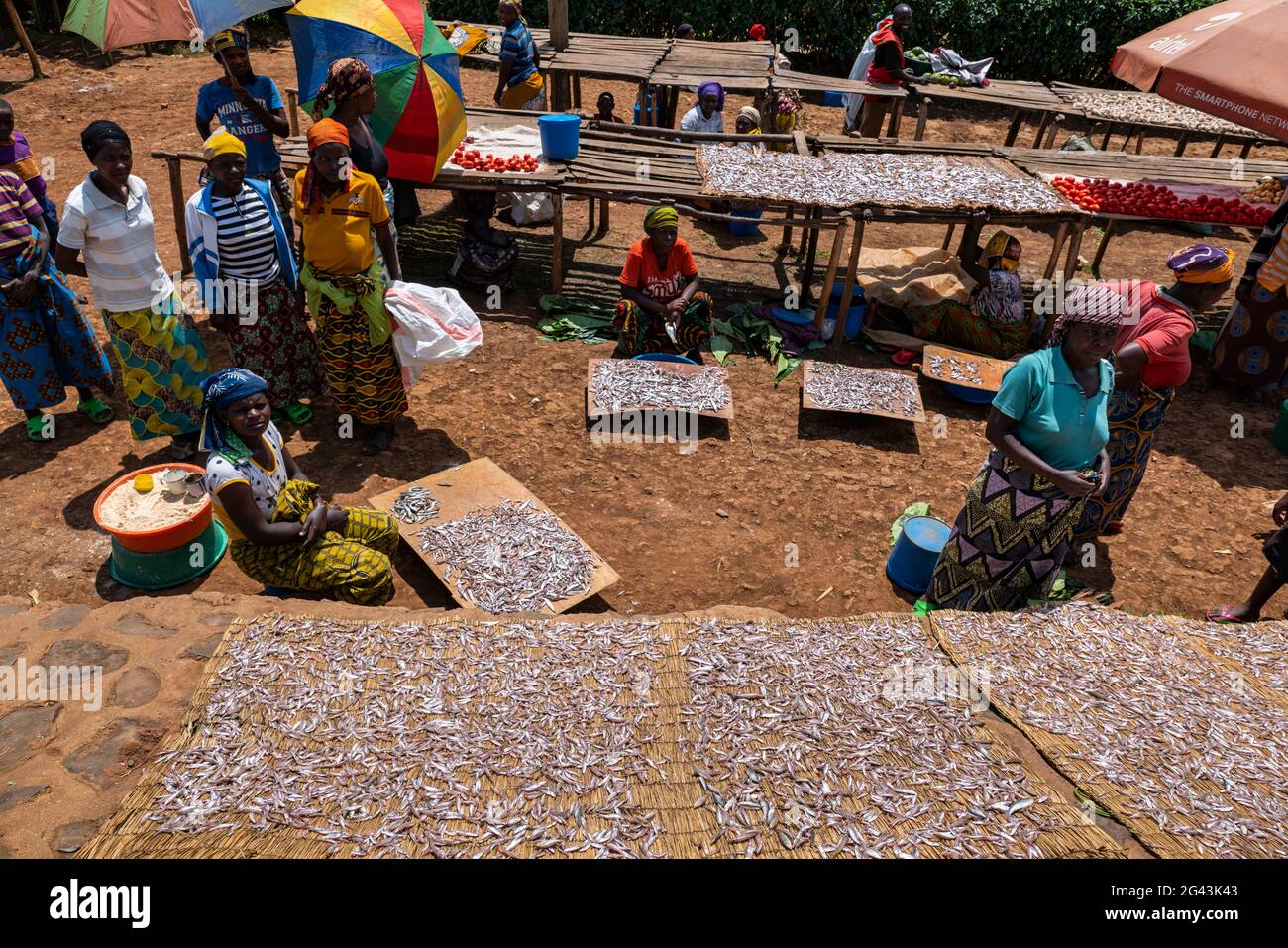 Kivu women fish hi-res stock photography and images - Alamy