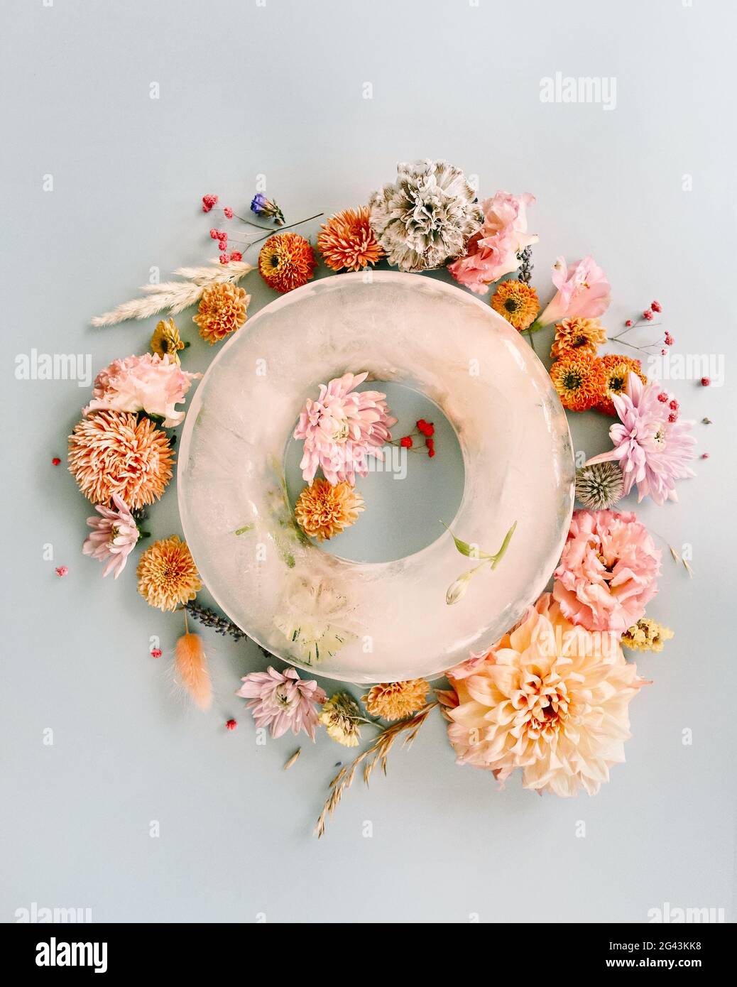 Flowers around ring shaped ice Stock Photo - Alamy