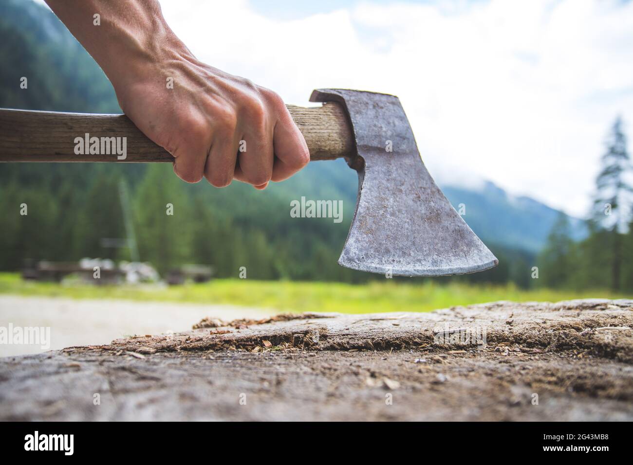 Getting wood for fire: Man is holding old axe, tree trunk, countryside ...