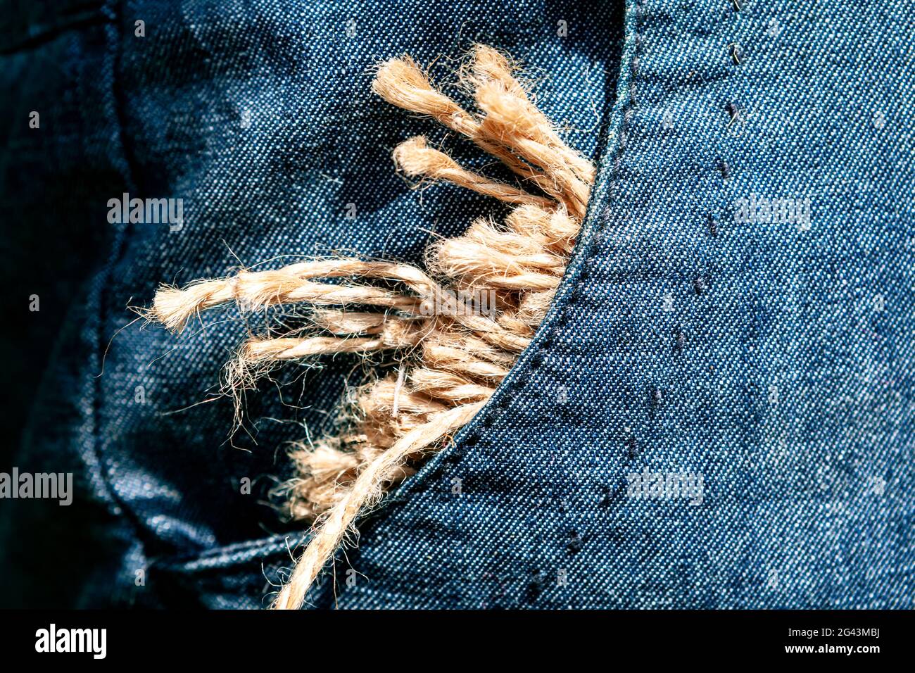 Tying plants hi-res stock photography and images - Alamy