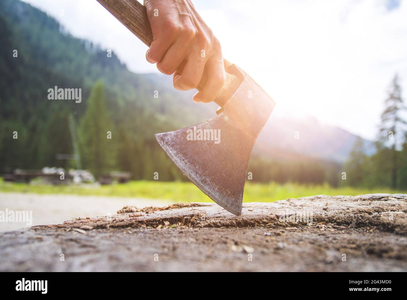 Getting wood for fire: Man is holding old axe, tree trunk, countryside ...