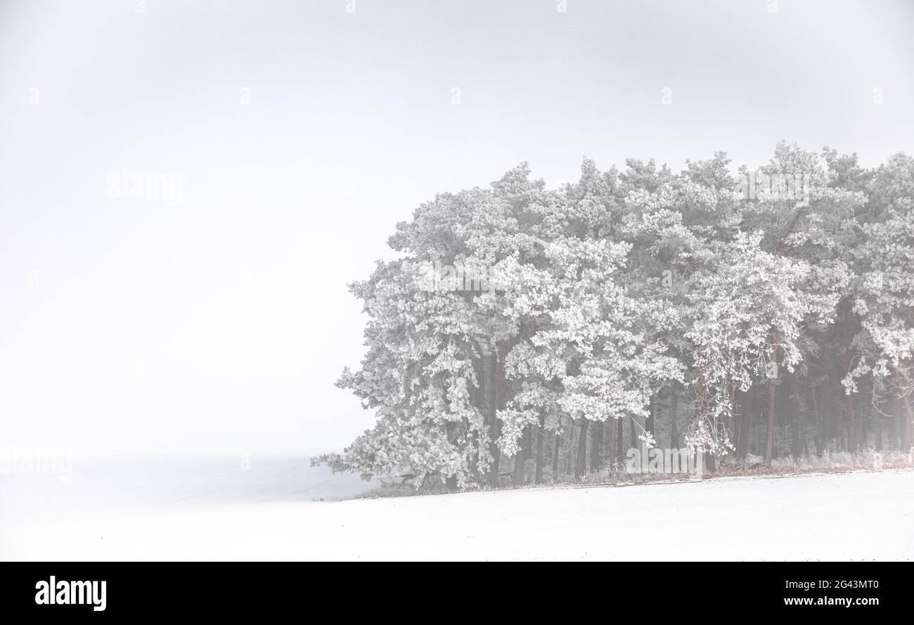 Snow landscape in the Hamburg area, Germany Stock Photo - Alamy