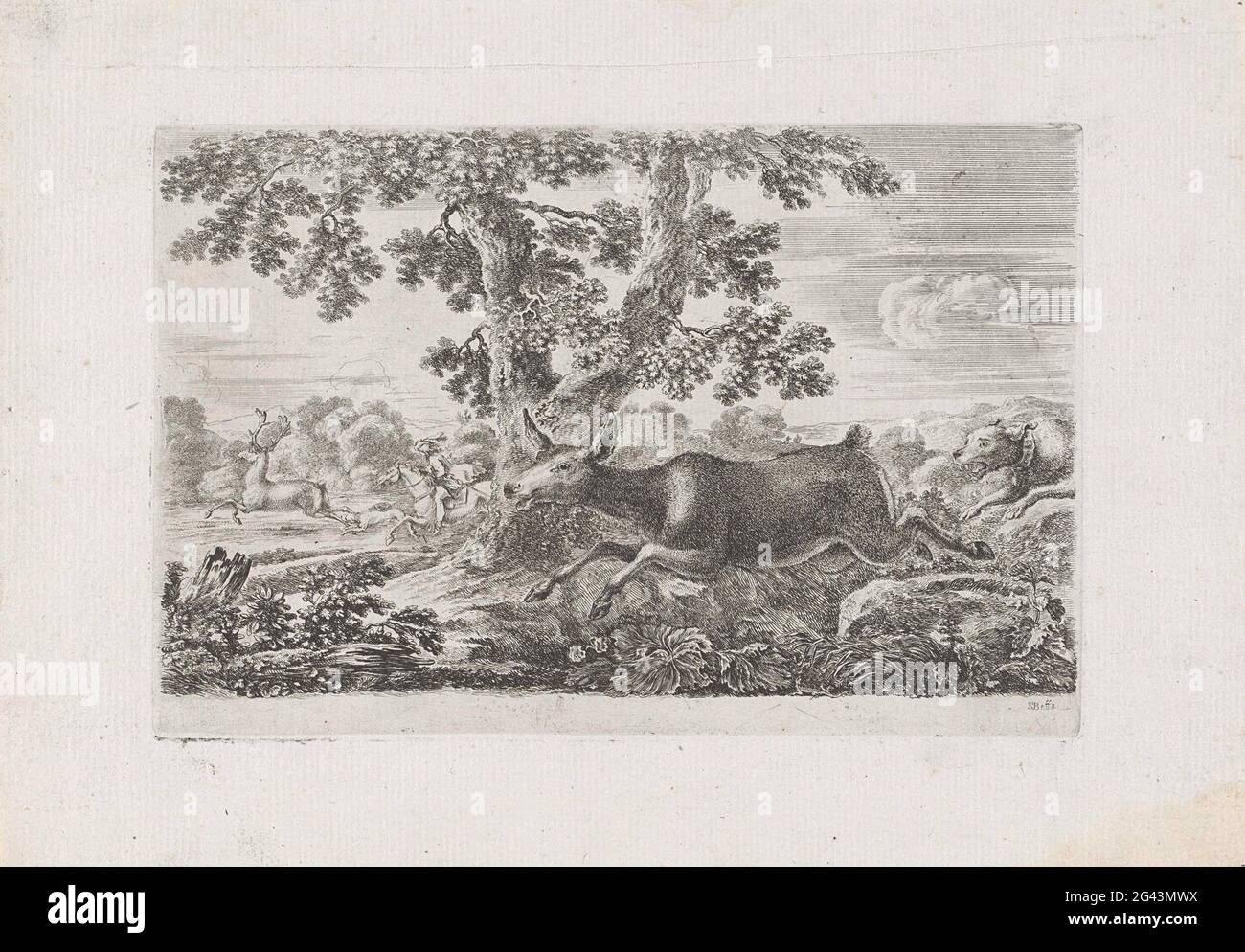 Ree hunted by a hunting dog; Yacht scenes. A roe is hunted by a hunting ...