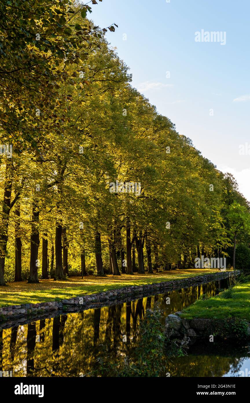 Autumn avenue of lime trees in the castle grounds of Eutin, Holstein ...
