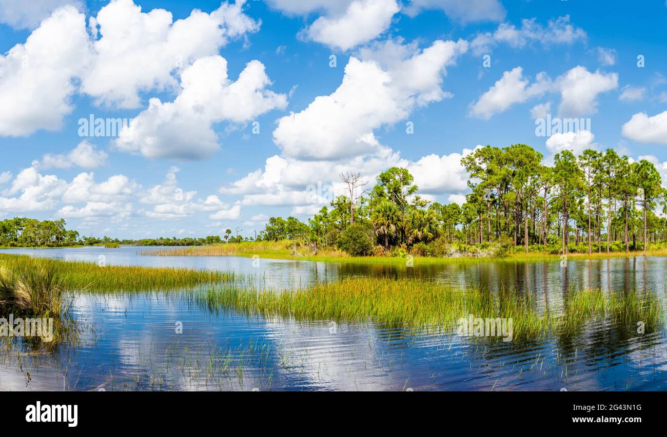 Fred c babcock cecil m webb wildlife management area hi-res stock ...