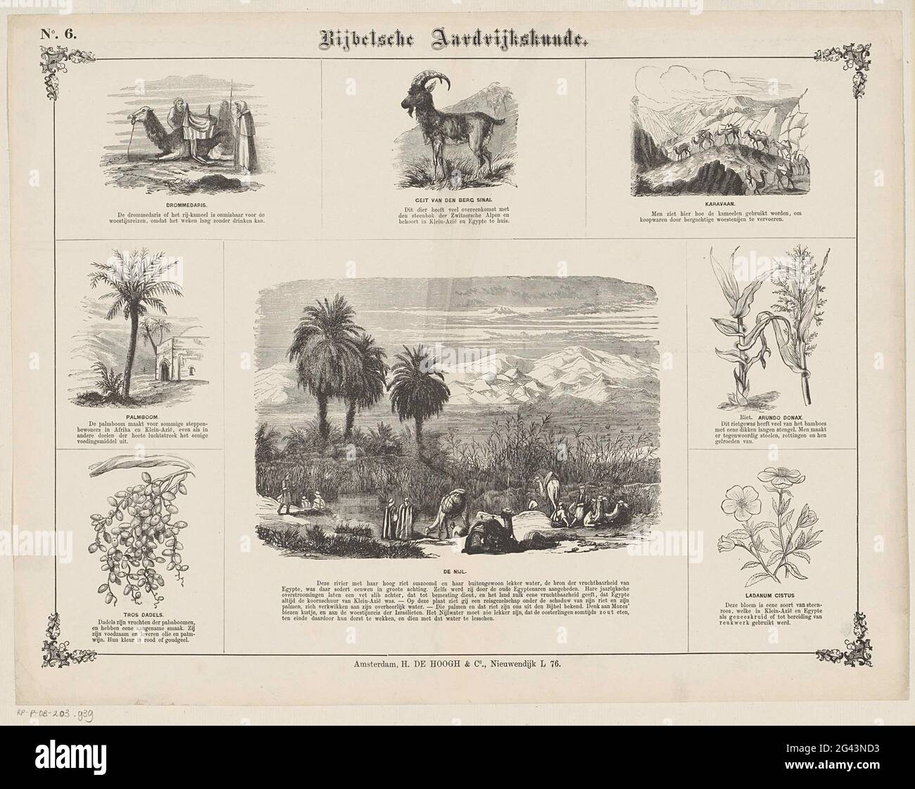 Bible geography. Leaf with 8 performances of animals, plants and the ...