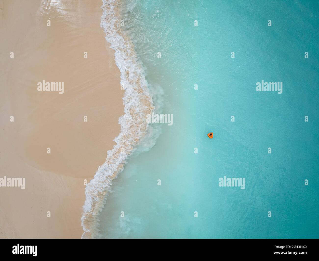 Eagle top view hi-res stock photography and images - Alamy