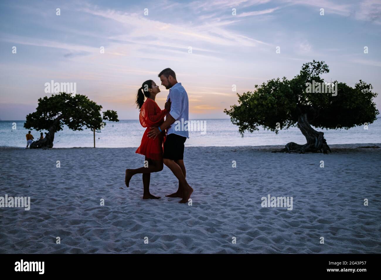 Divi dive tree on eagle beach hi-res stock photography and images - Alamy