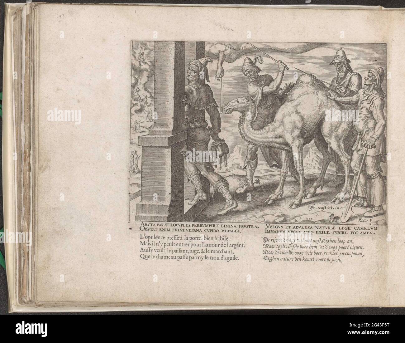 Camel coming on hi-res stock photography and images - Alamy