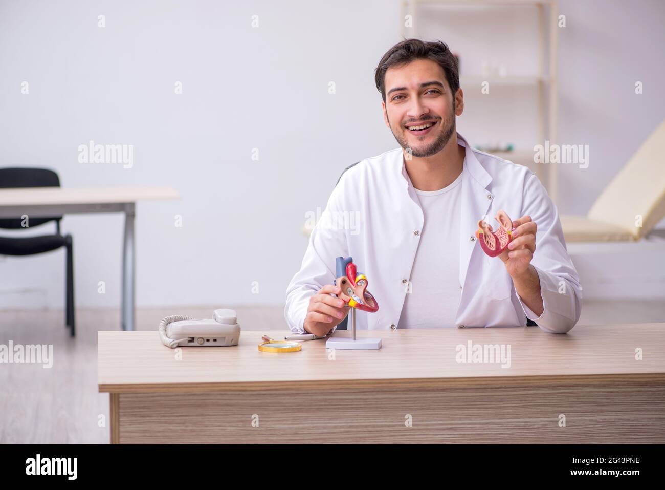 Young male doctor cardiologist explaining heart model Stock Photo - Alamy
