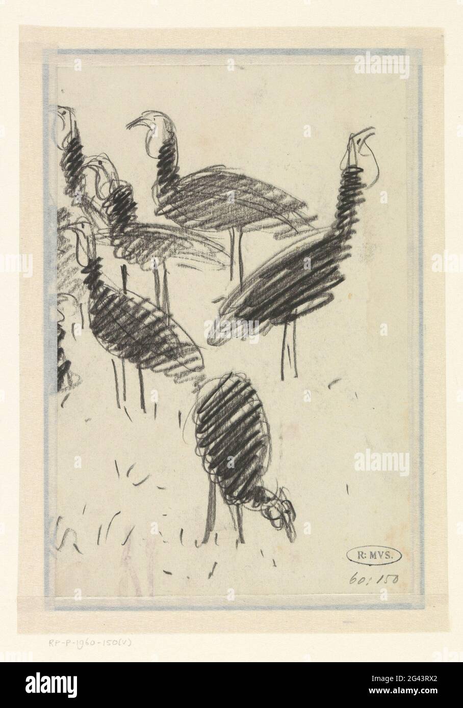 Six birds Stock Photo - Alamy