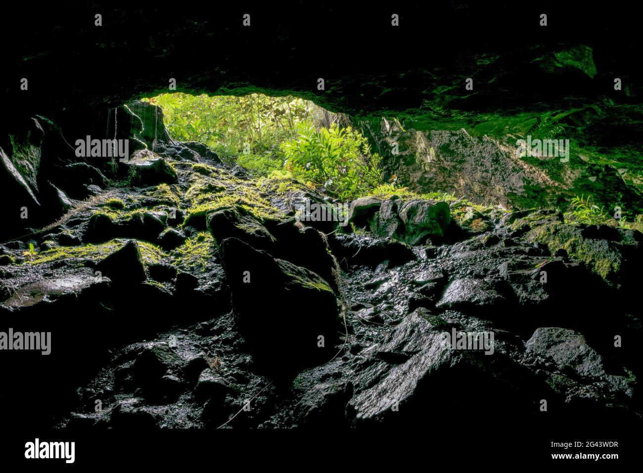 Vaipori cave grotto, Tahiti Iti, Tahiti, Windward Islands, French ...