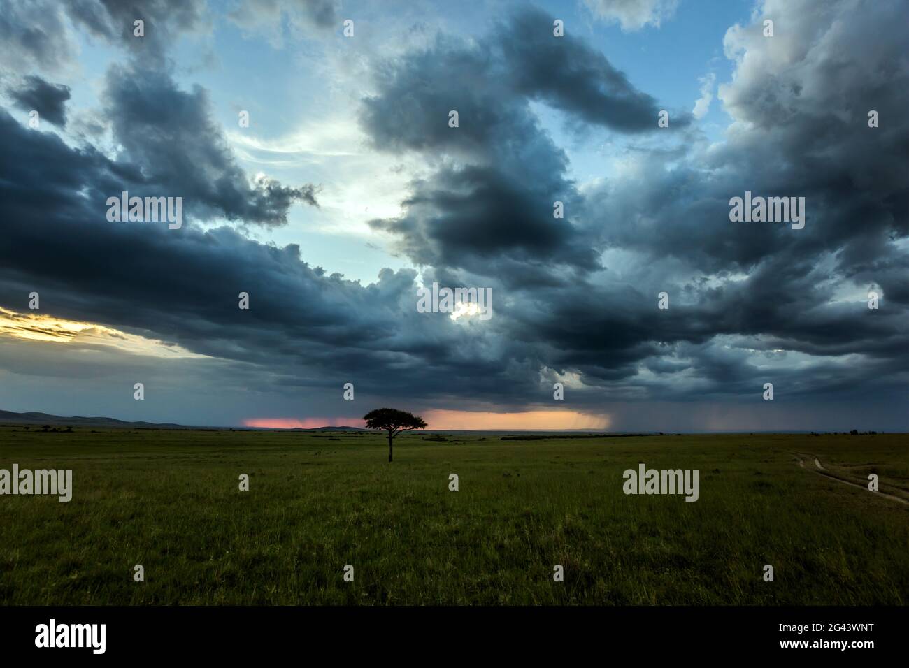 Scenic sunset and rain clouds Stock Photo - Alamy