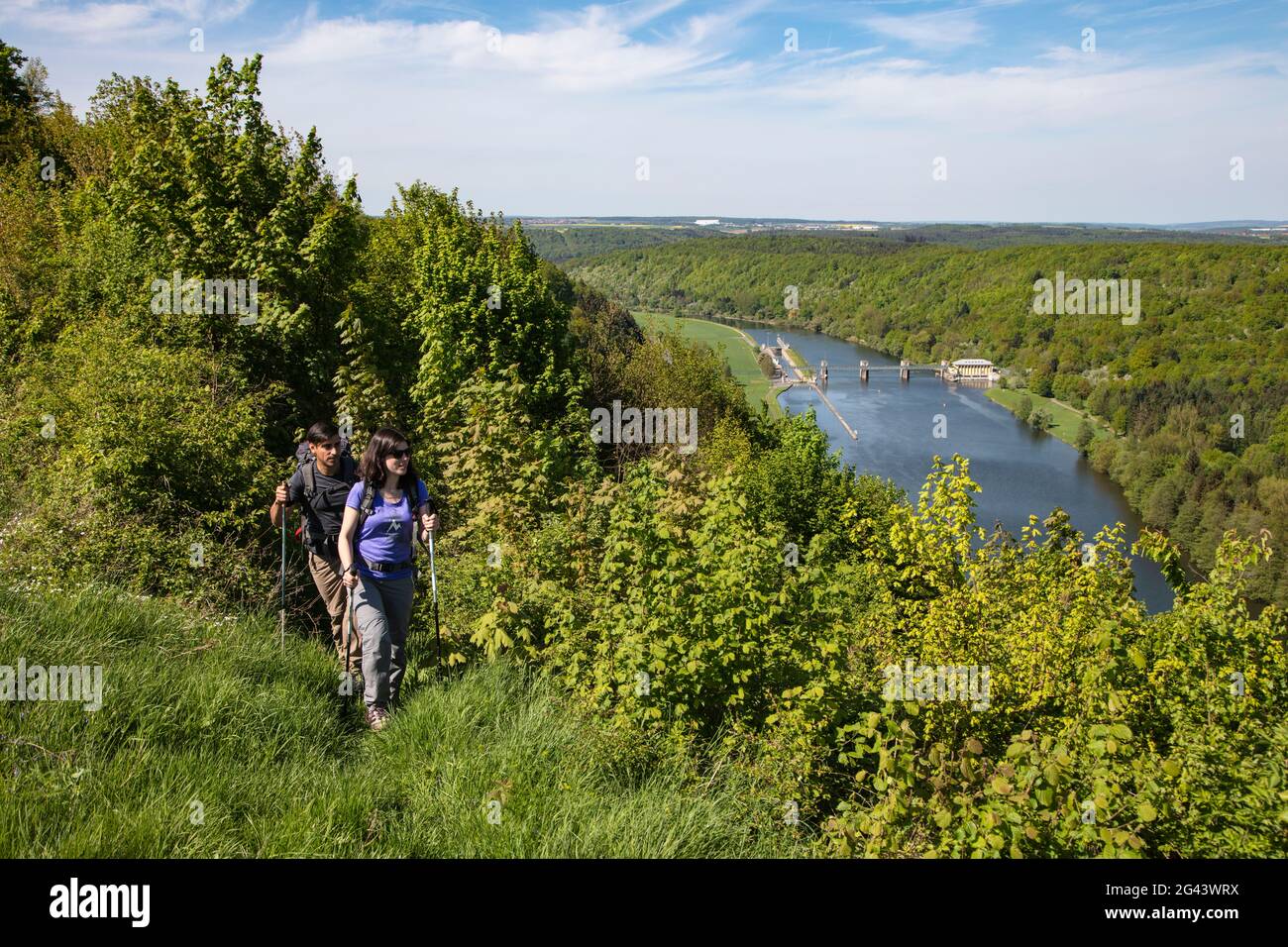 Wertheim eichel hi-res stock photography and images - Alamy