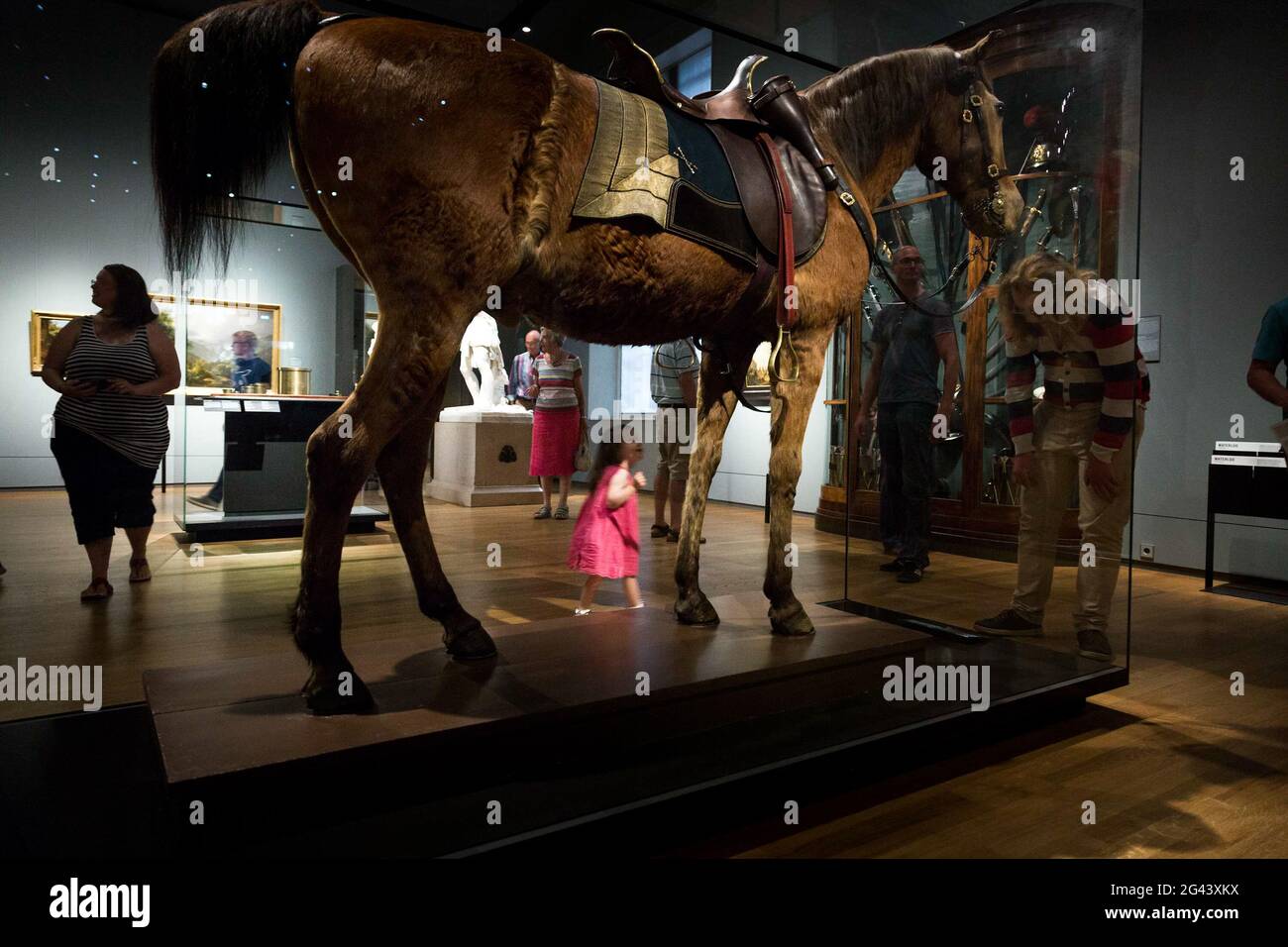 Visitors at the PRINCE HORSE OF ORANGE, WEXY; Visitors in the Dontition ...