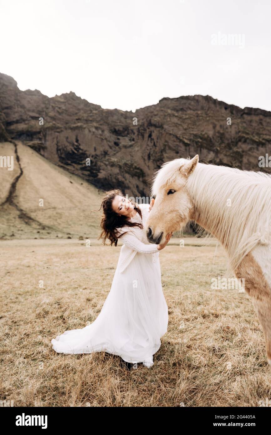 Cream colored horse hi-res stock photography and images - Alamy