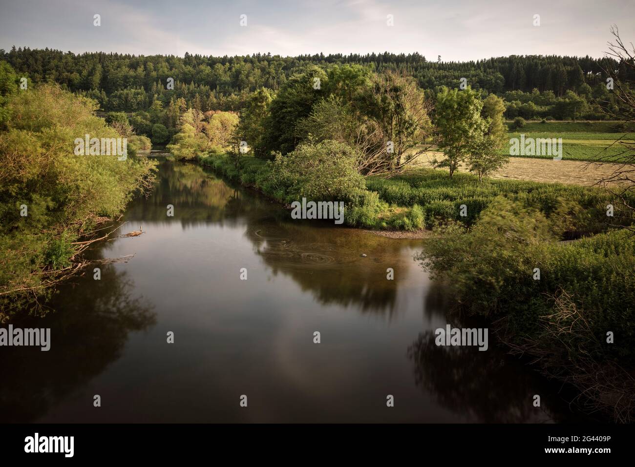 Natural phenomenon of the Danube infiltration between Immendingen and ...