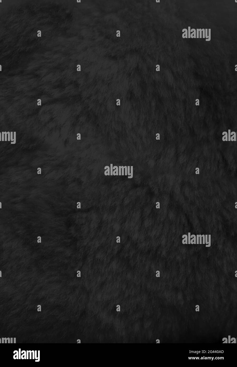 Warm carpet Black and White Stock Photos & Images - Alamy