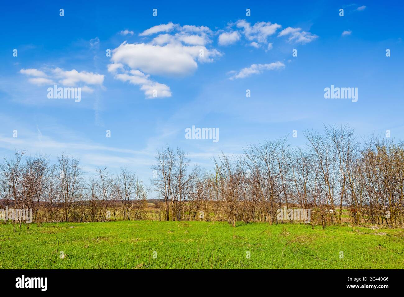 Beautiful spring day landscape hi-res stock photography and images - Alamy