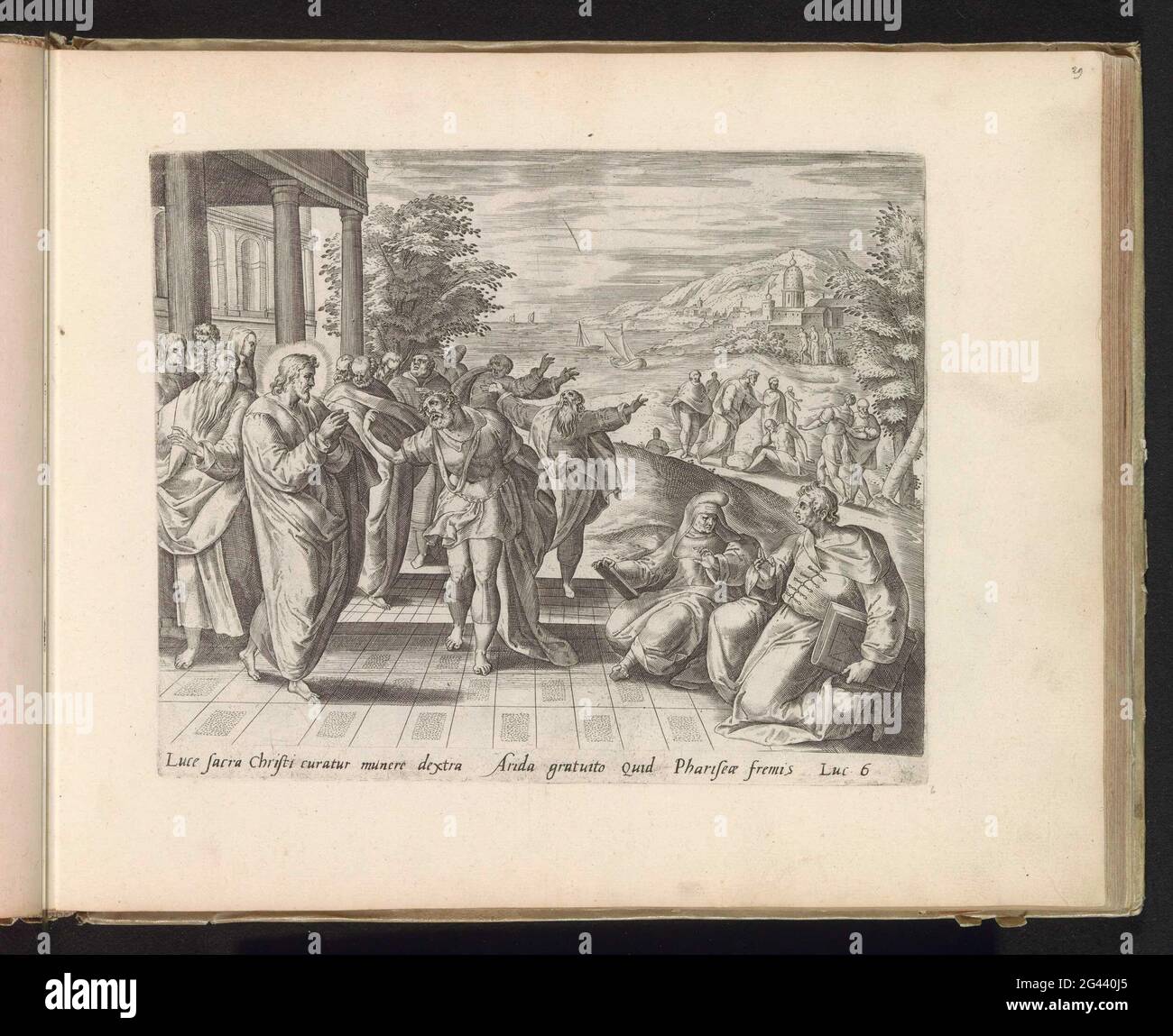 Shrivel Shriveled High Resolution Stock Photography and Images - Alamy