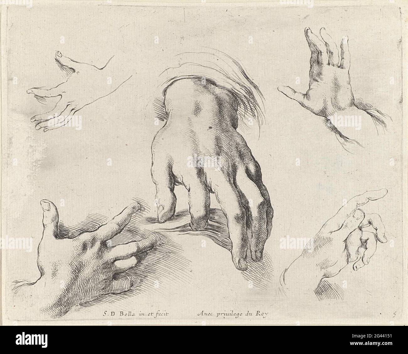 Five hands; The principles of drawing; I Principii del Disegno Stock ...