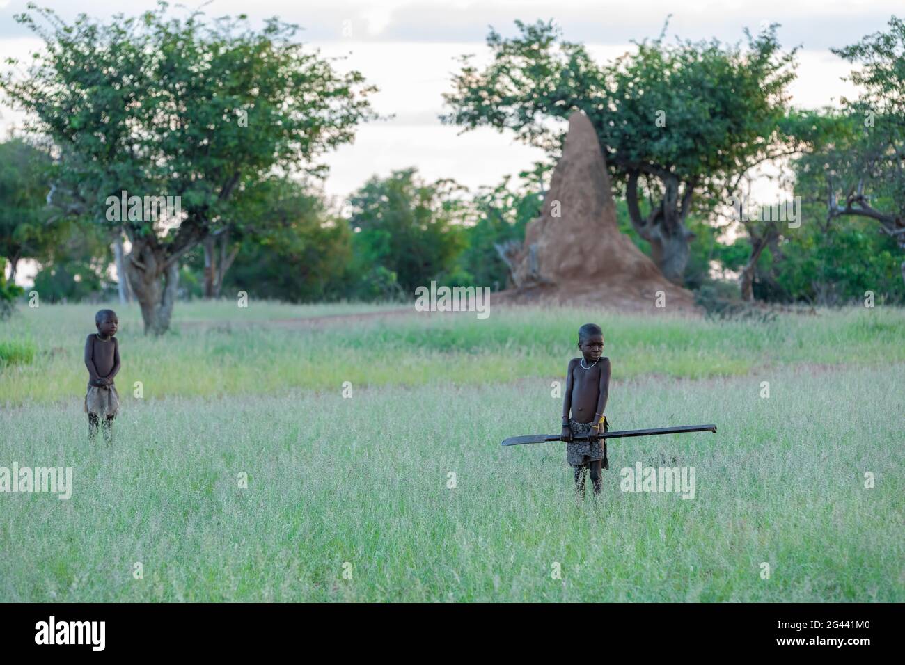 Himba boys, indigenous namibian ethnic people, Africa Stock Photo - Alamy