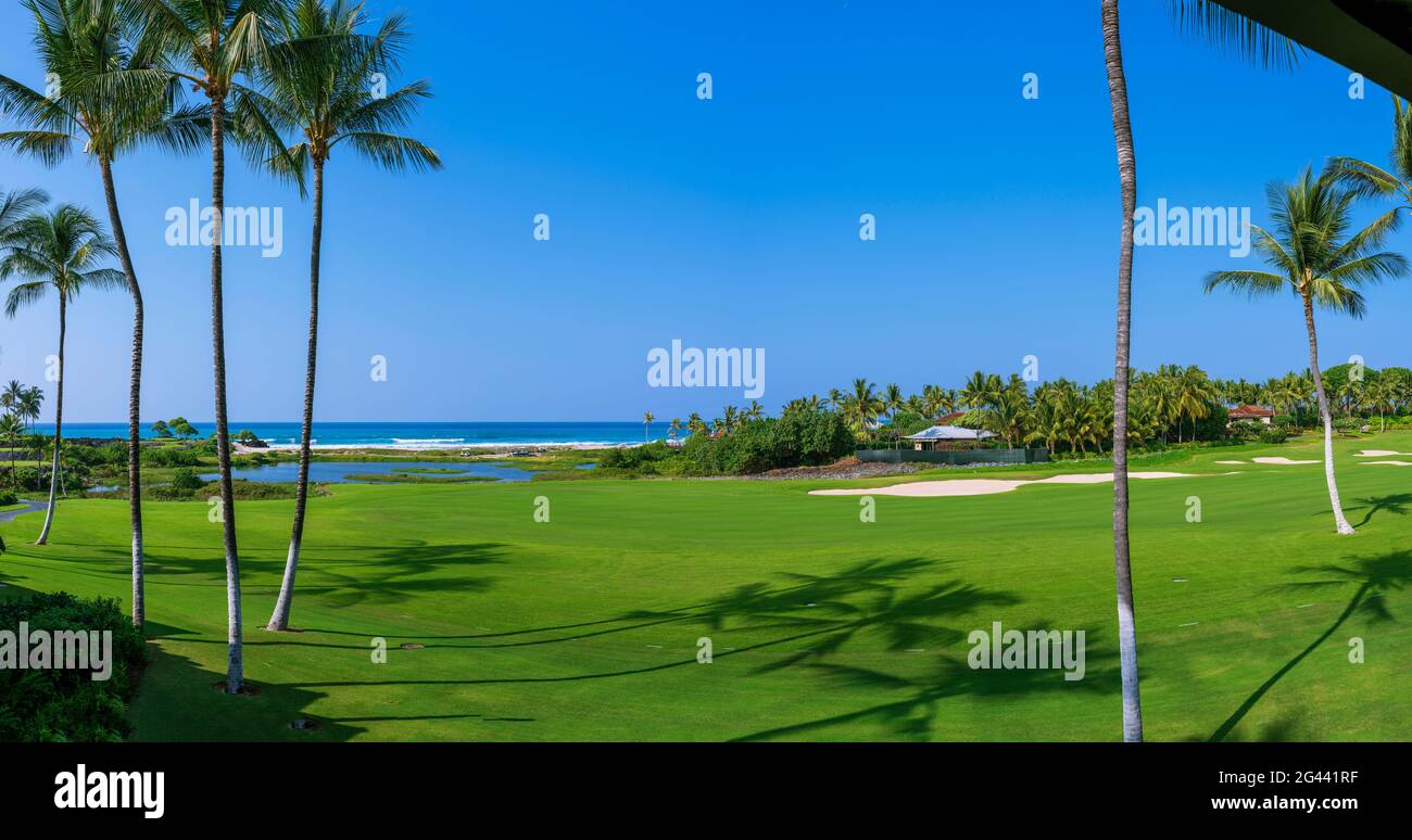 Green hawaii hi-res stock photography and images - Alamy