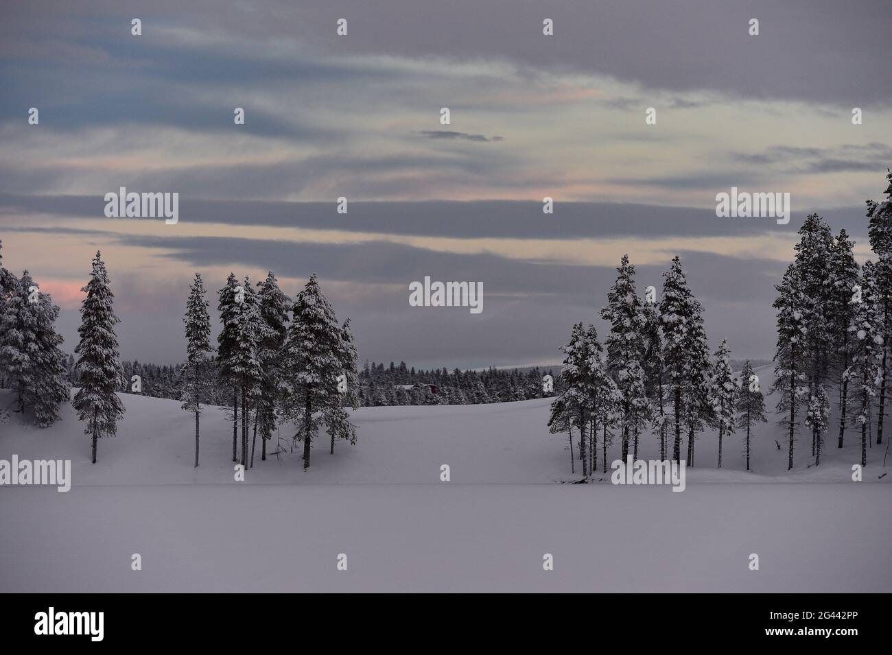 Snow and vastness in the winter landscape in Lapland, Hällvik, Sweden ...