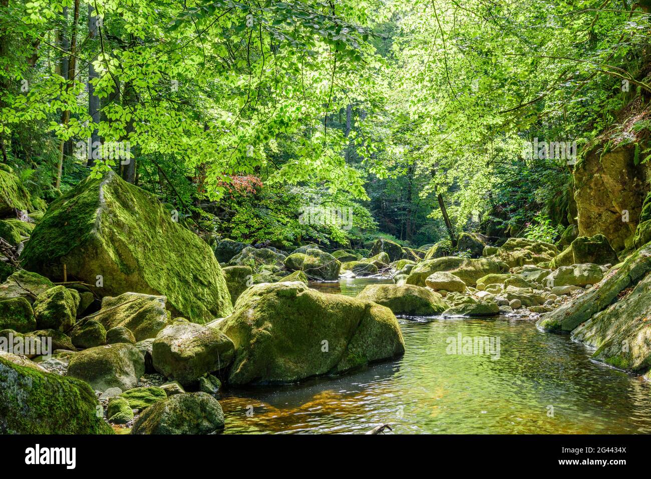 Fabelhafte Wildbachklamm Buchberger Leite Fotos