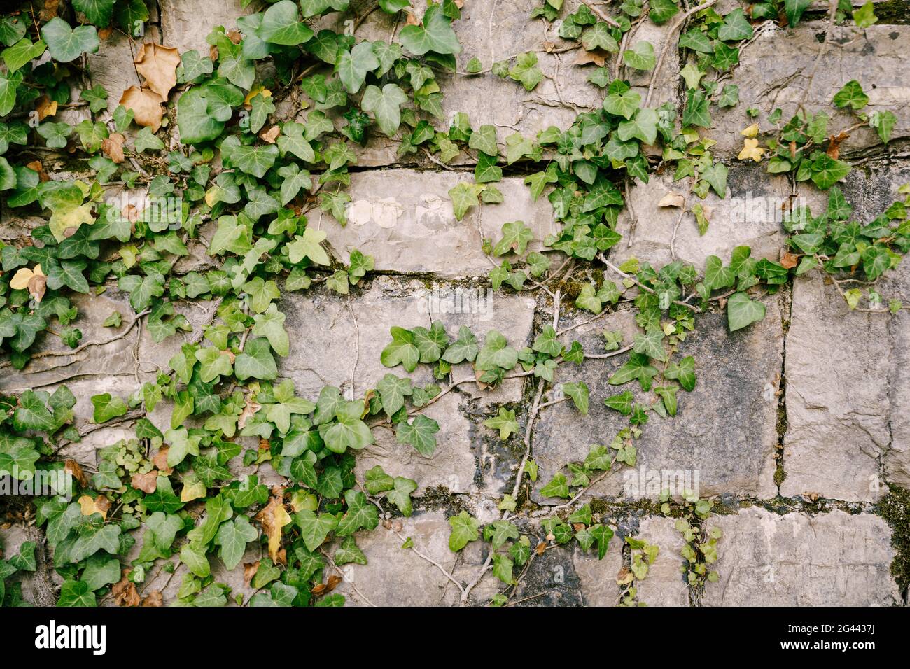 Wall massive stone slabs hi-res stock photography and images - Alamy
