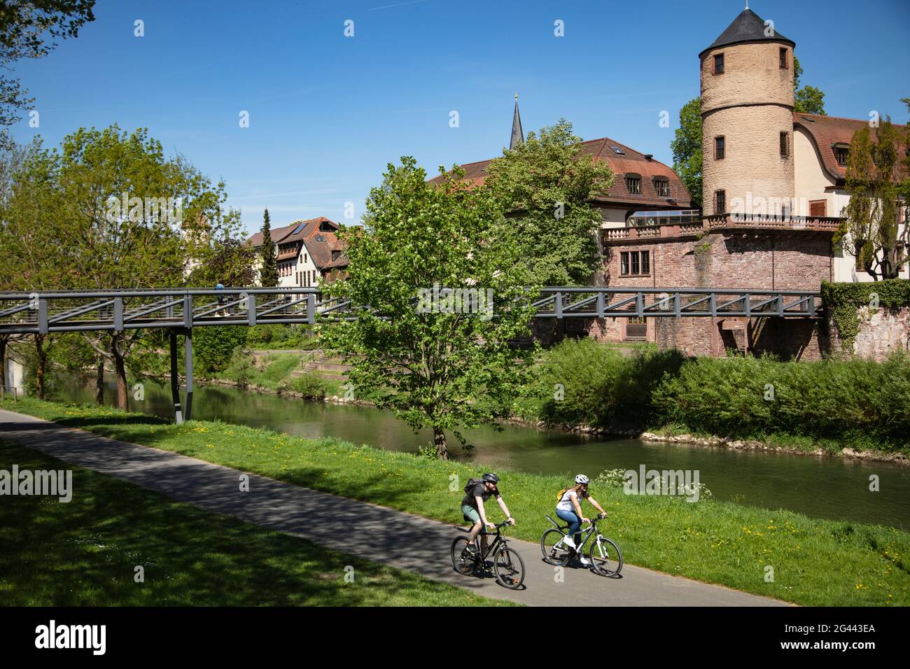 Cyclists on cycle path along the Tauber with the former Princely Court ...
