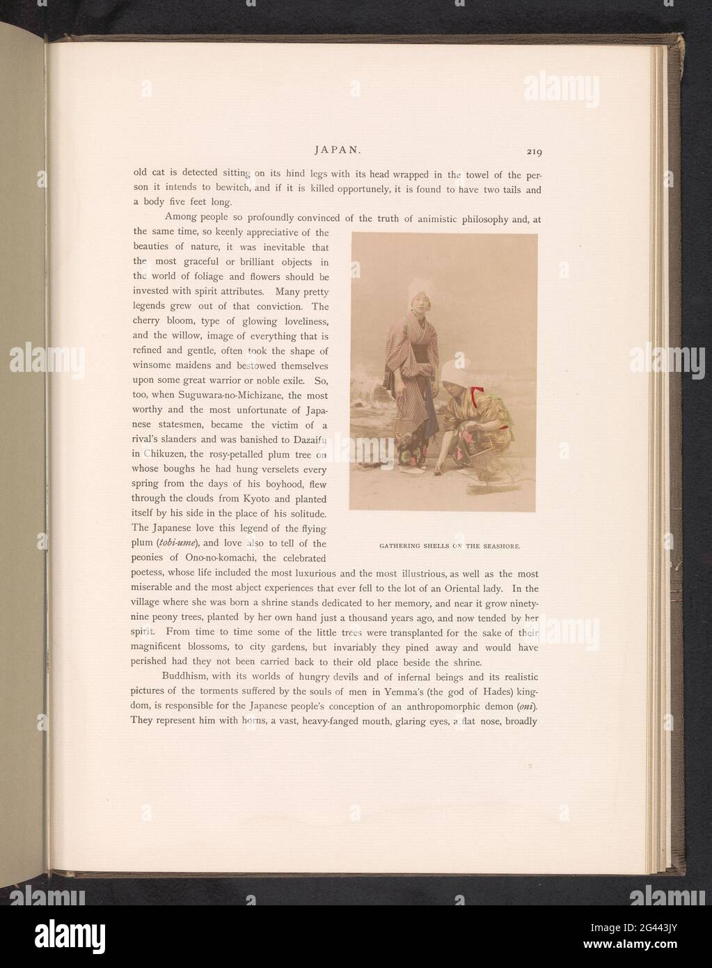 Gathering shells on the seashore Stock Photo - Alamy