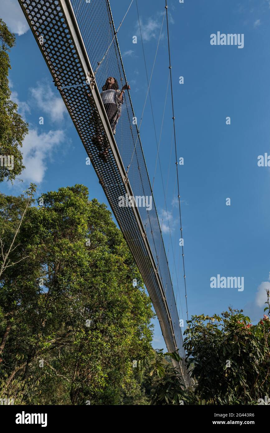 Low angle view to young woman on suspension bridge of Canopy Walkway ...