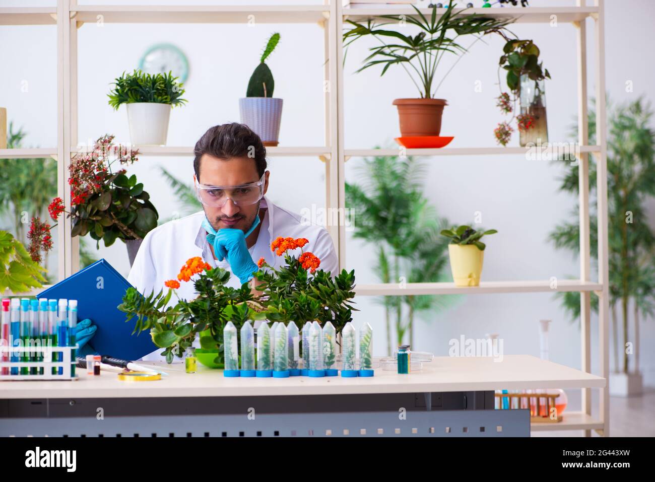 Perfumer laboratory hi-res stock photography and images - Alamy