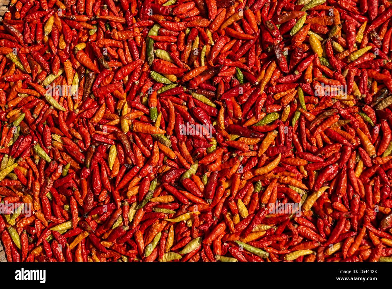 Chillies drying in open hi-res stock photography and images - Alamy