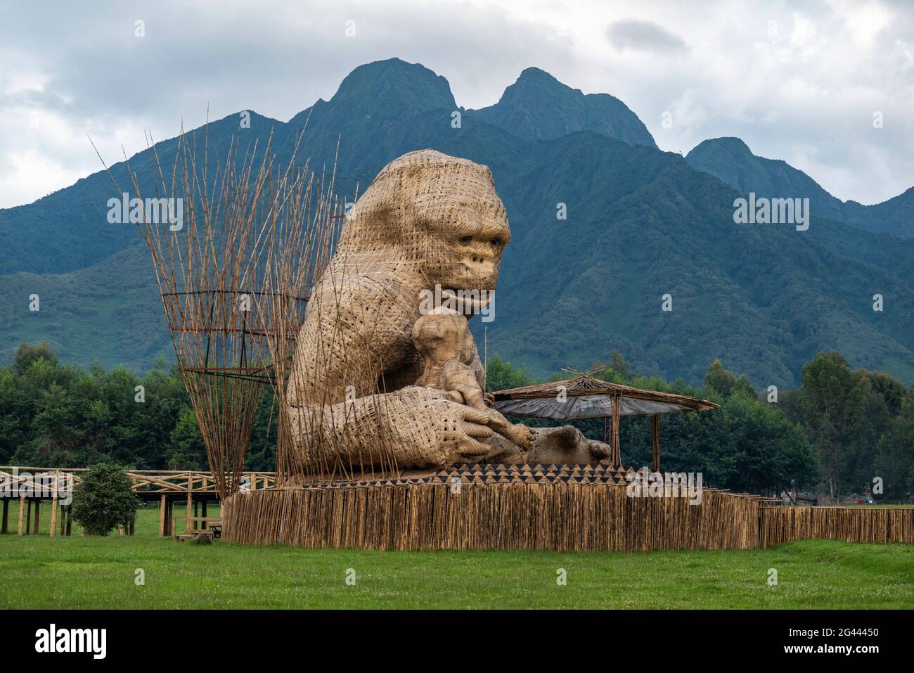 Giant wooden gorilla sculpture built from sticks, Volcanoes National ...