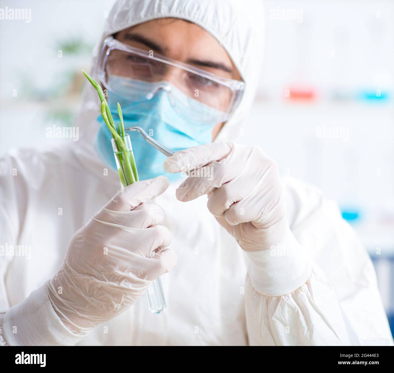 Male biochemist working in the lab on plants Stock Photo - Alamy