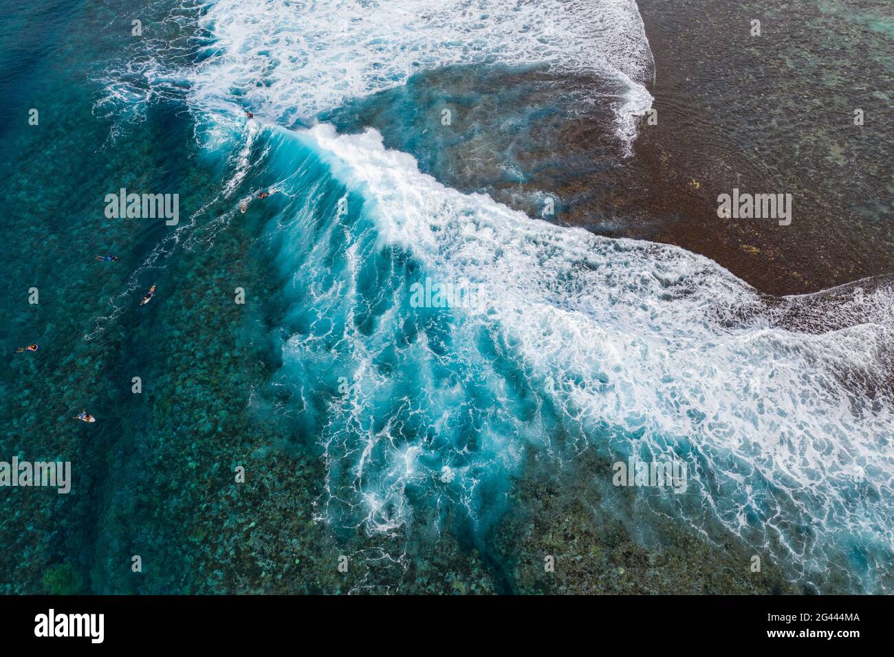Aerial view of surfers on wave on reef, Nuuroa, Tahiti, Windward ...