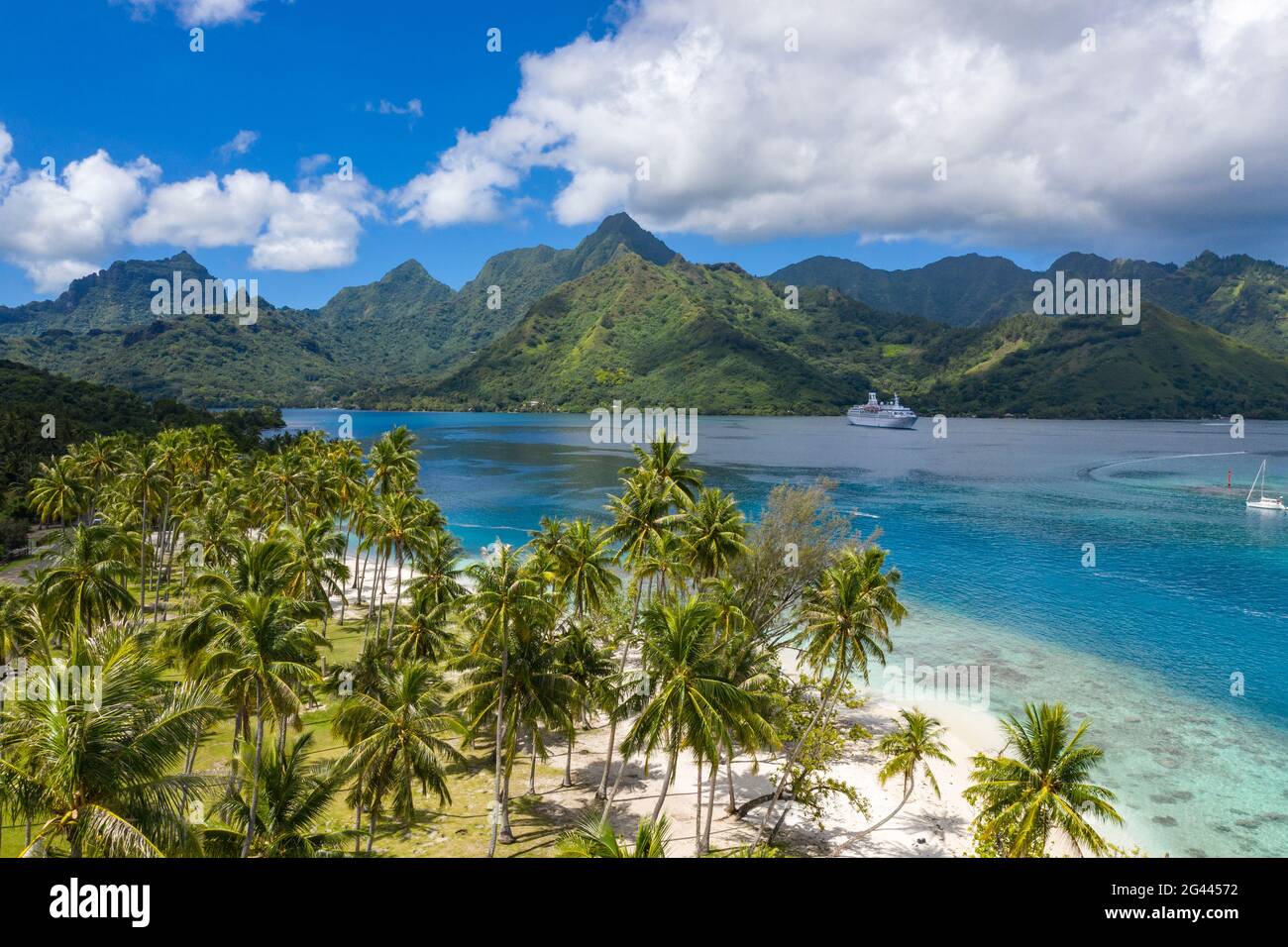 Aerial view of coconut trees on Opunohu Bay beach with cruise ship in ...