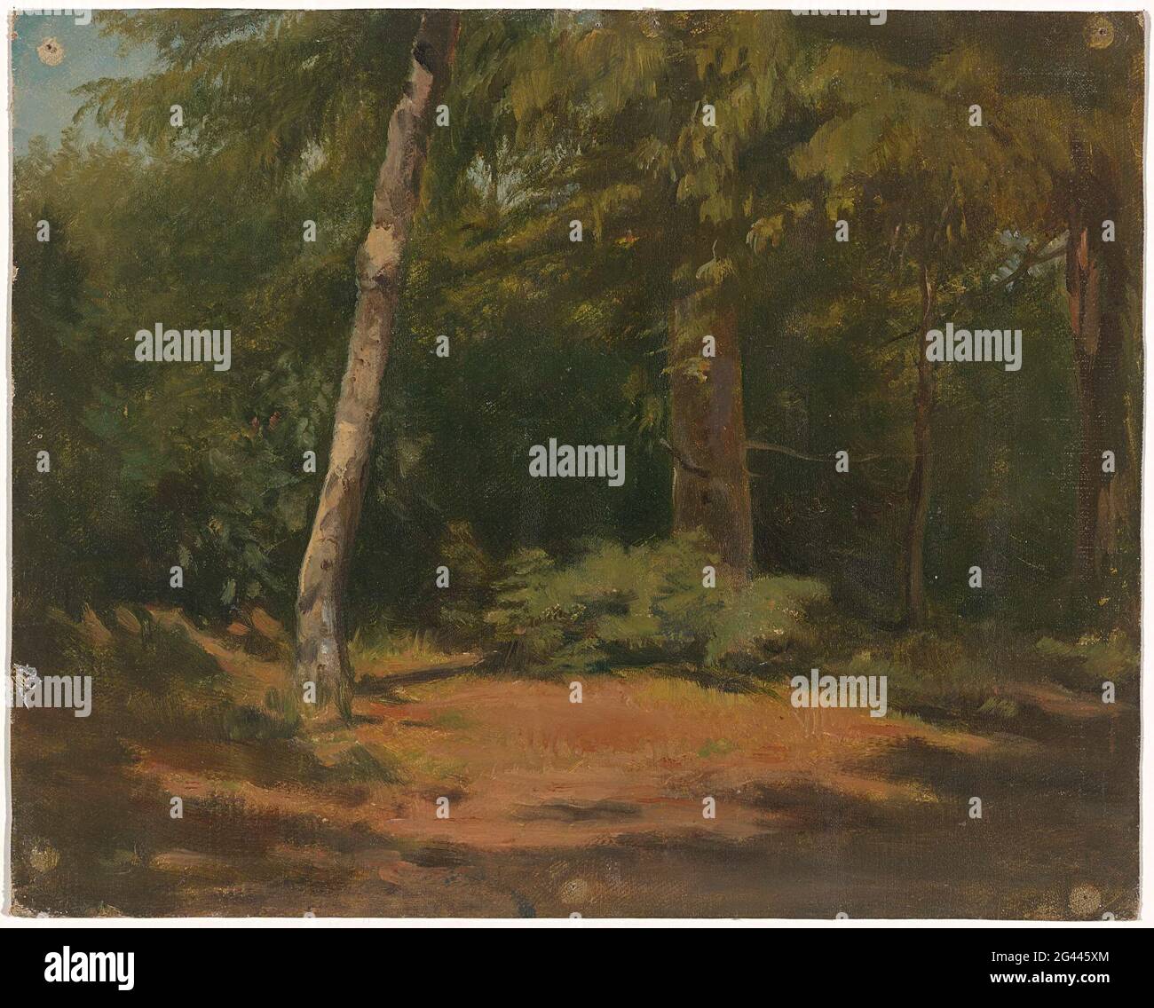 Open space in the forest Stock Photo - Alamy