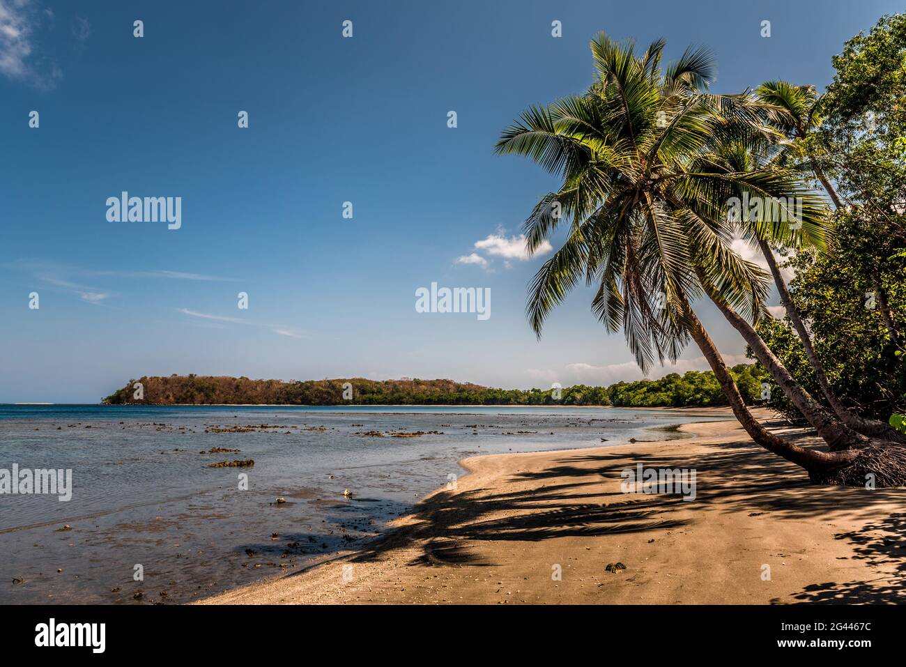 Lonely beach on Malekula, Vanuatu, South Pacific, Oceania Stock Photo ...