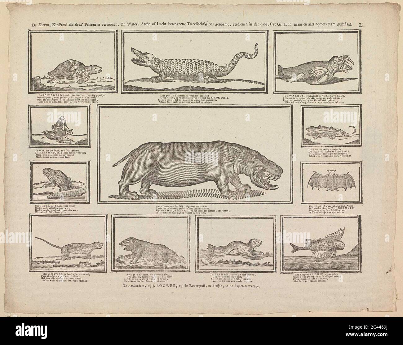 Air Animals With Names