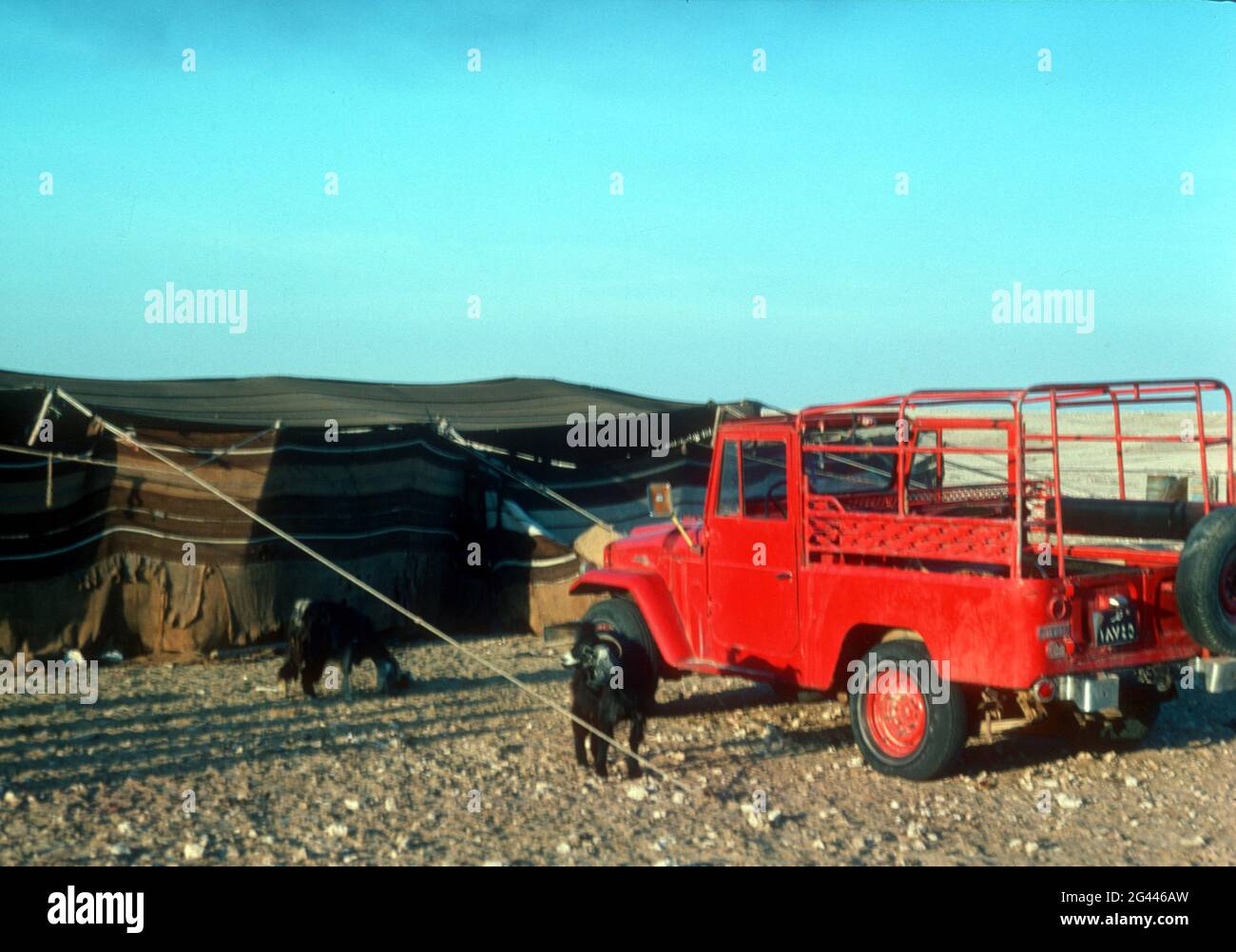 Bedouin camp in central Kuwait 1976 Stock Photo - Alamy
